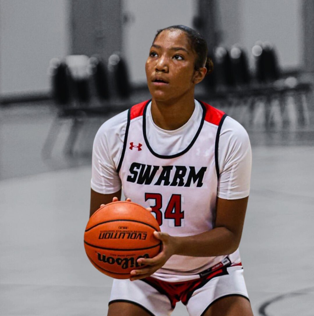 Ashburn - Swarm Basketball